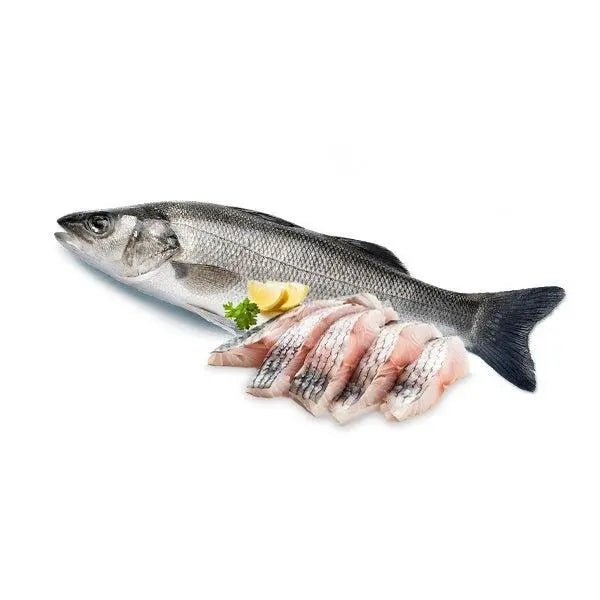 Fish - Pan Ocean Singapore - Sea Through Us