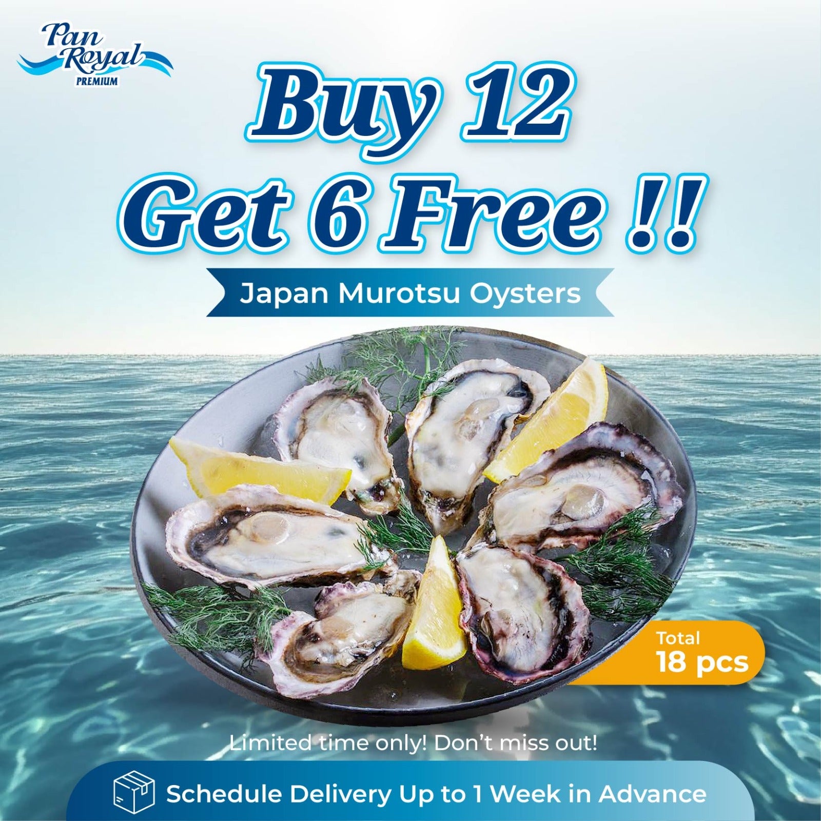 [PAN ROYAL] Frozen Japan Murotsu Oyster (Sashimi Grade) 12 pcs (FREE 6 ...
