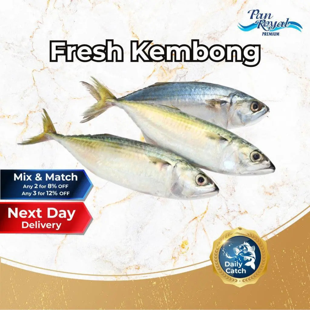 Fresh Kembong (450 - 550g +/-) – Pan Ocean Singapore
