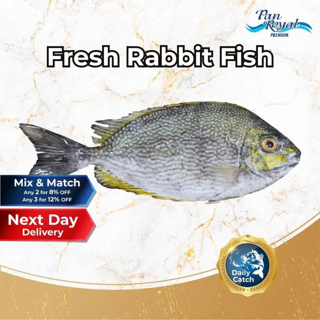 [PAN ROYAL] Fresh Rabbit Fish (Indonesia KaSu) (450g +/-) – Pan Ocean ...