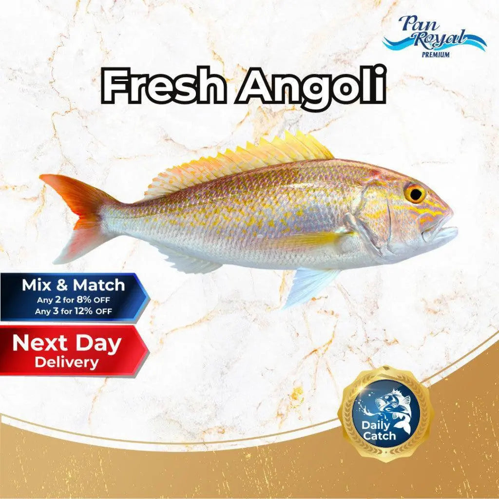 [PAN ROYAL] Fresh Sea Caught Angoli (700-800g) – Pan Ocean Singapore ...