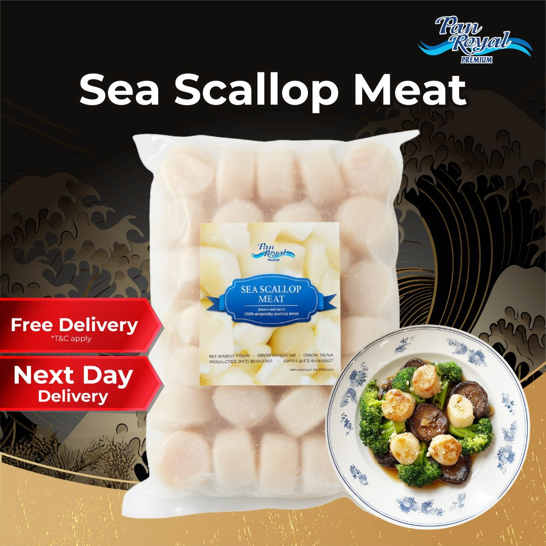 Frozen Sea Scallop Meat 1KG +/- – Pan Ocean Singapore